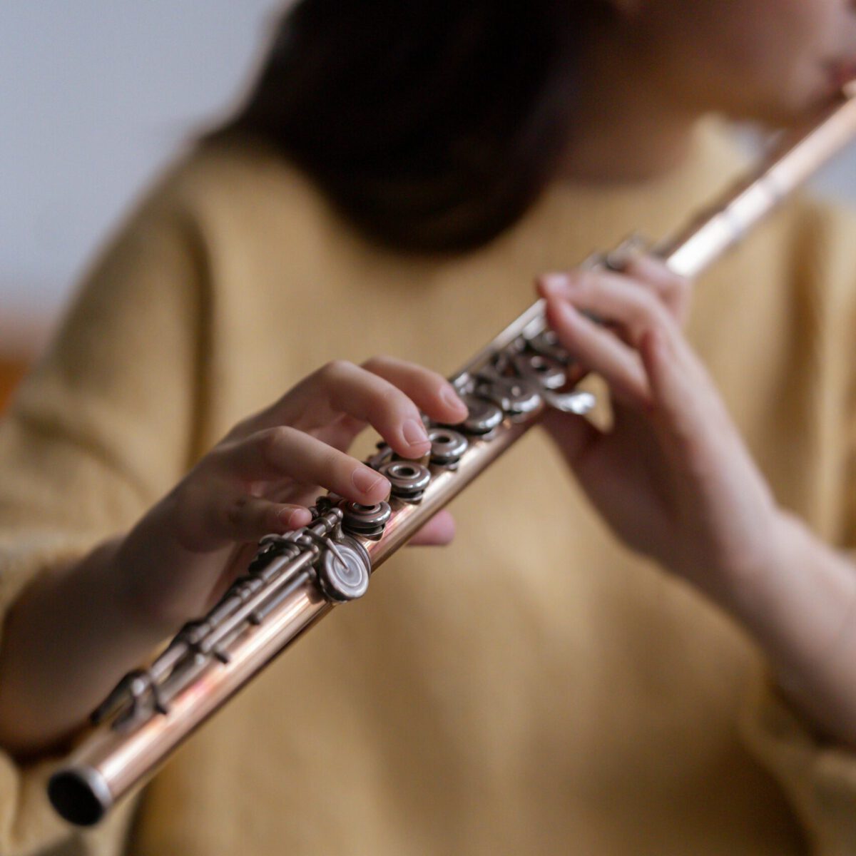 dwarsfluit - Muziekschool Diemen